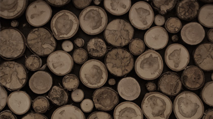 The Pearl Group | About